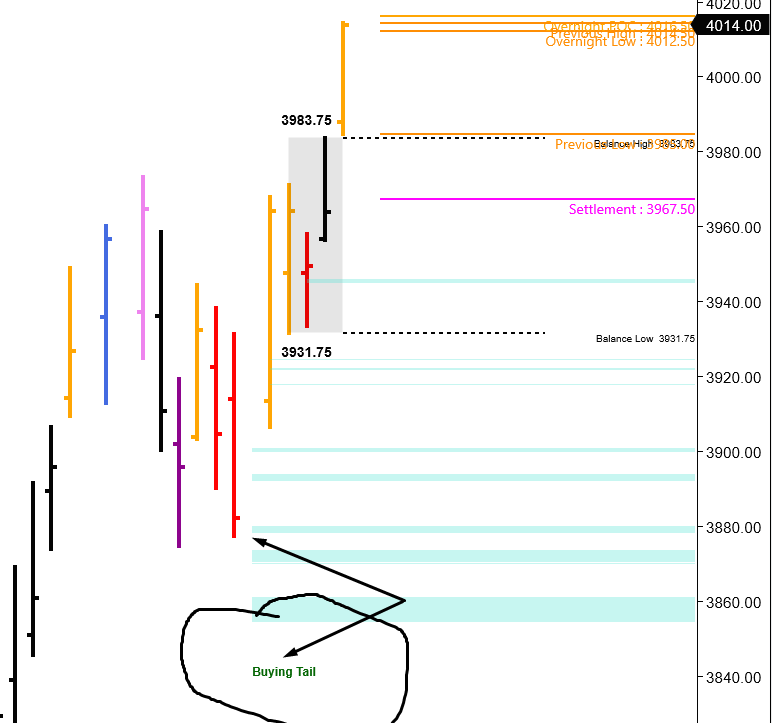 Platinum Plan | Coder For Traders